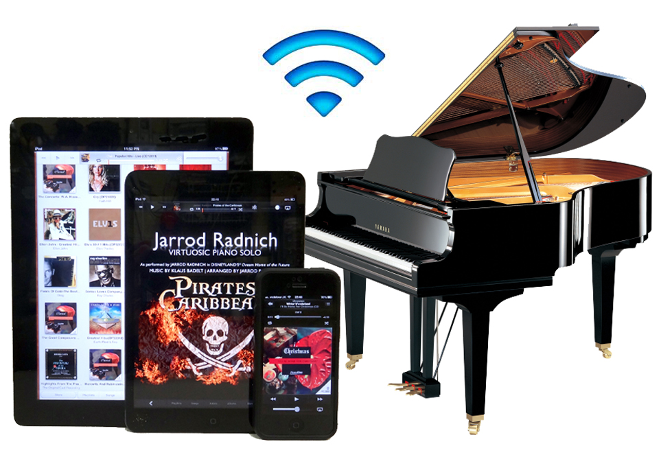 J & L PianoDisc Services